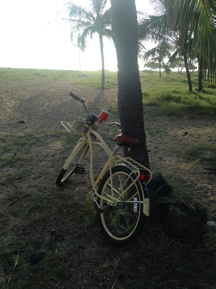 Hydro-philia: Having a love for, Affinity for, Craving for… | Real Surfers