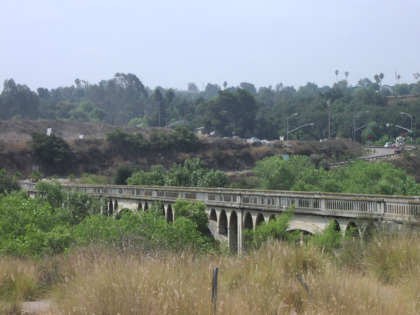 “Swamis” Chapter 14 Continued | Real Surfers