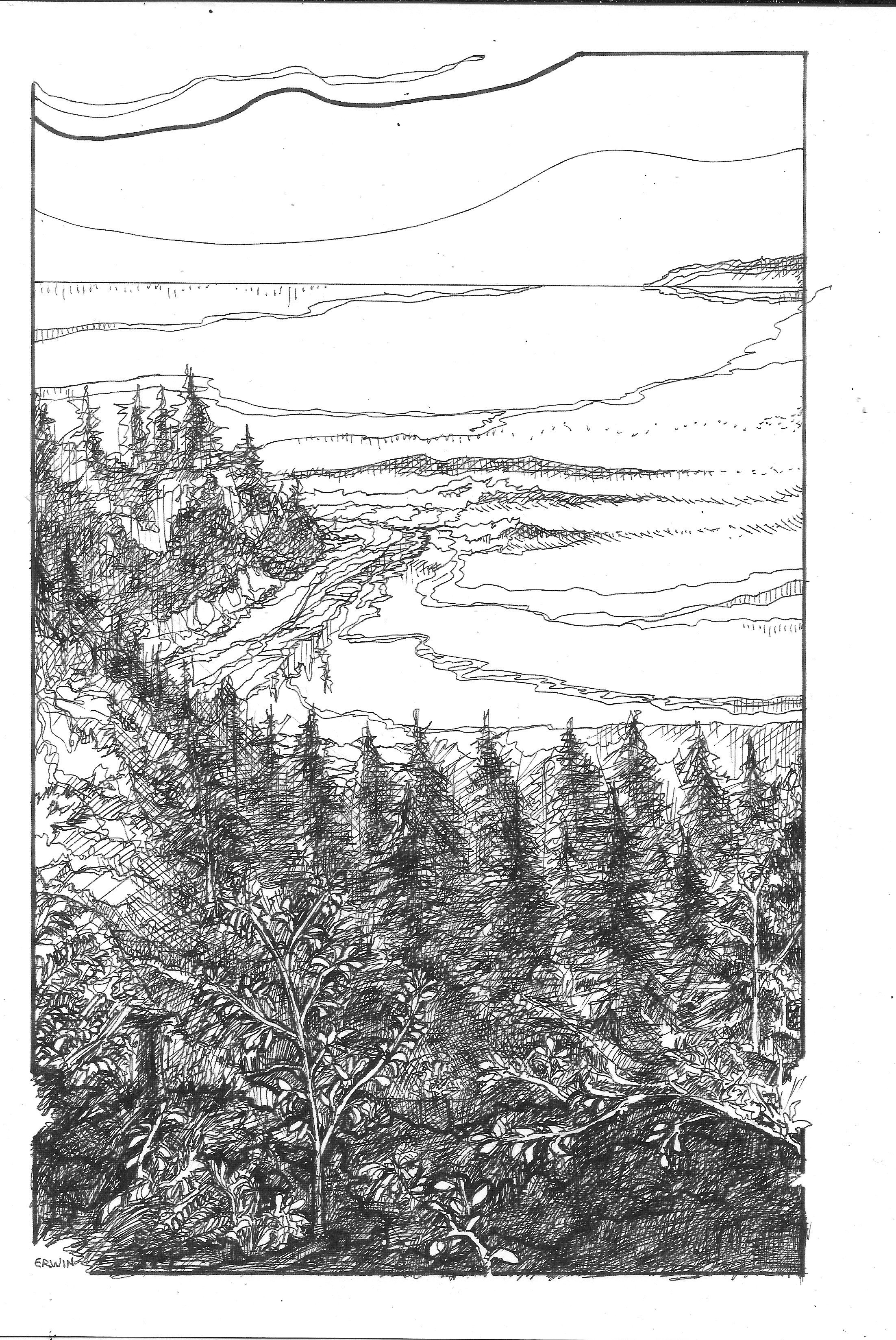 The Cat Crash Laptop | Real Surfers